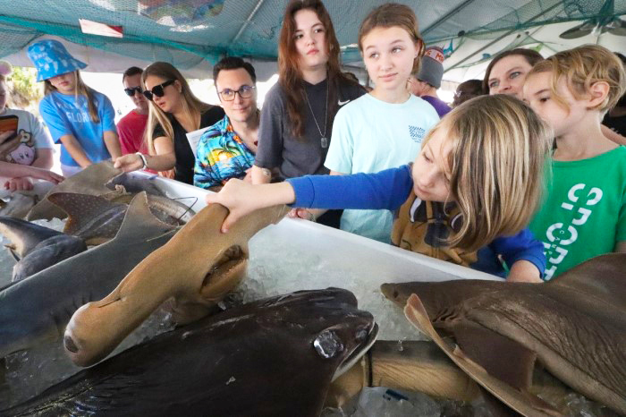 Inside Job February 19