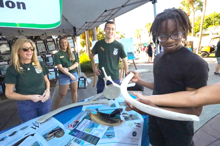 Inside Job February 19