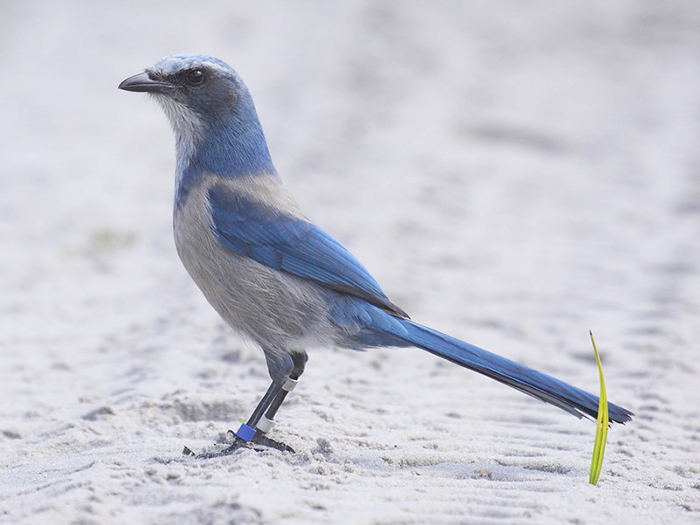 Visit Jonathan Dickinson State Park on March 16 to celebrate the ...