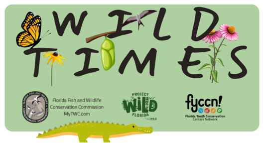 WILD Times Spring 2024 Newsletter