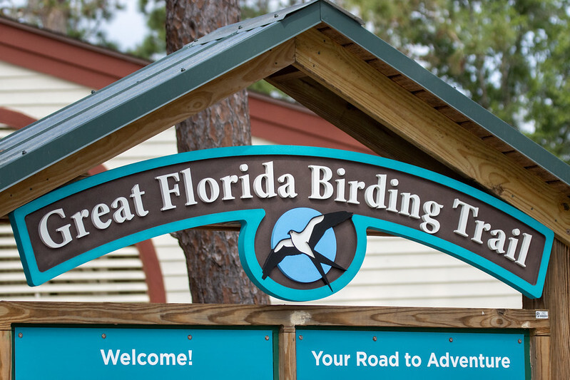 Spring-Summer Volunteer Spotlight