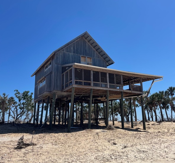 Wrack Line - January 2026