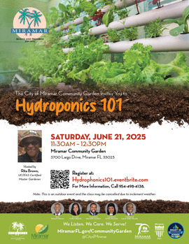 Hello Miramar - Upcoming Events