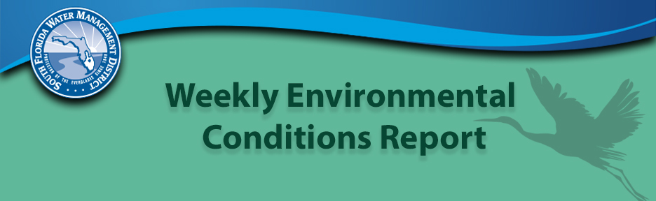 🌿 Weekly Environmental Conditions Report