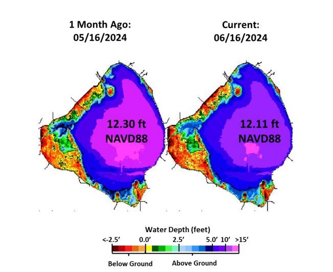 🌿 Weekly Environmental Conditions Report