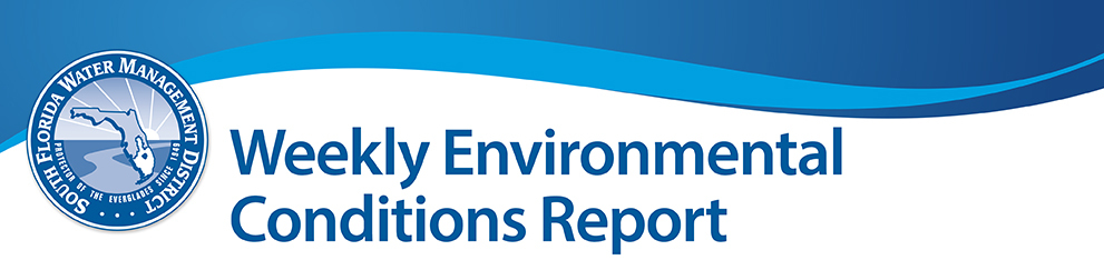 🌿 Weekly Environmental Conditions Report