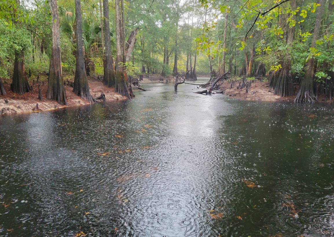 Withlacoochee River System Update - 11/1/2021