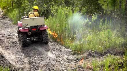 Water News You Can Use