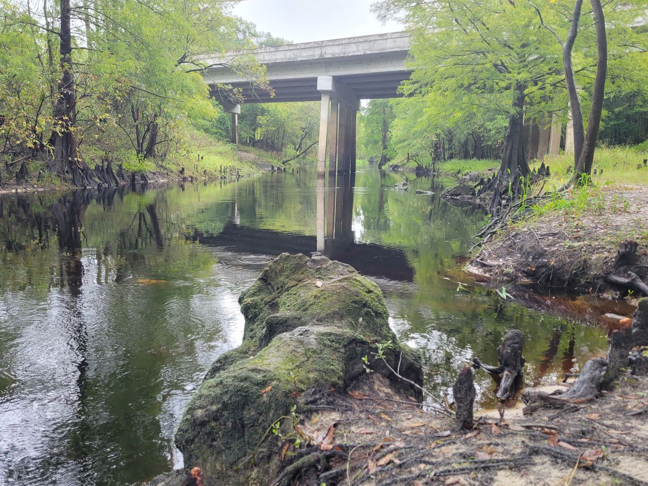 Withlacoochee River System Update - 10/2/2023