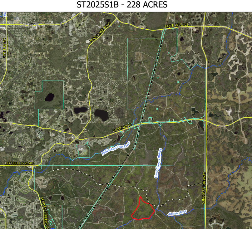 Prescribed Burn Alert: Tampa Bay Region | WaterMatters.org