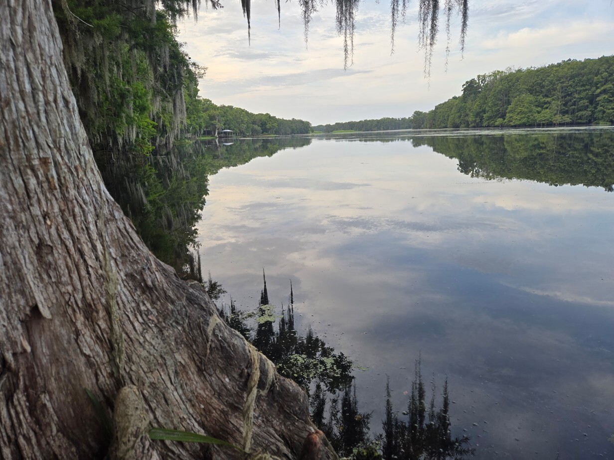 Withlacoochee River System Update - 8/1/2025