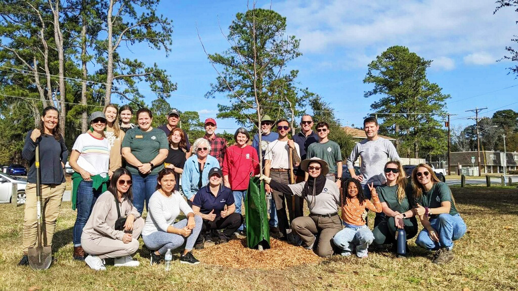 The Chatham County Scene