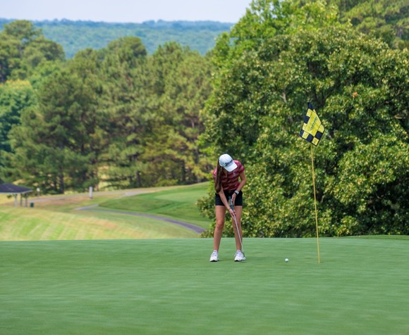 Which state park course took home course of the year?