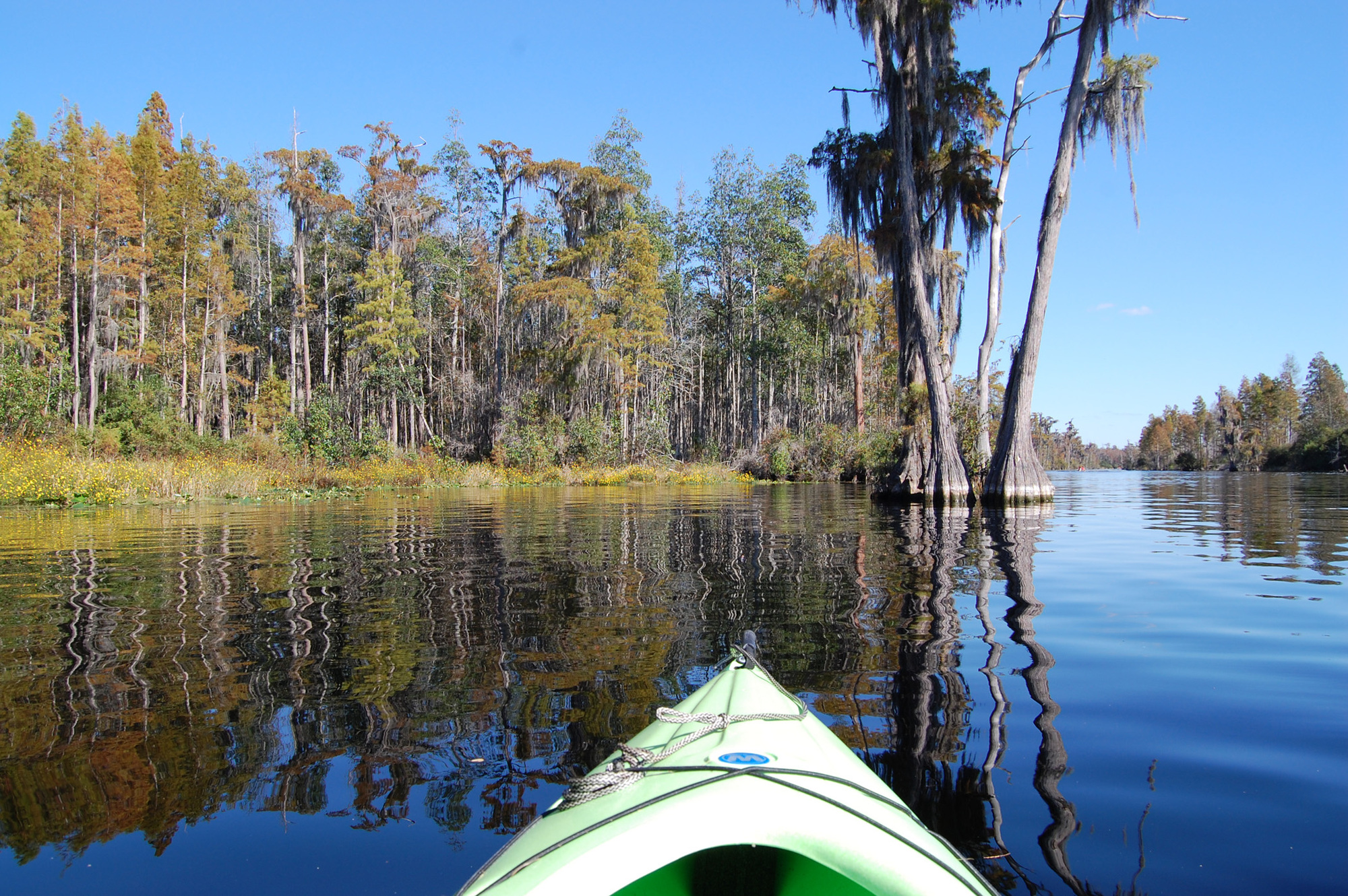 Summer Chill Spots, Paddling Adventures, Perseid Meteor Shower