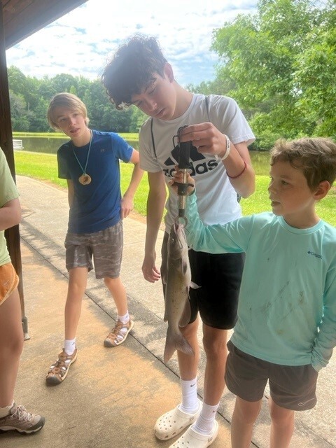 Spring and Summer opportunities at CEWC