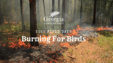 Register Today: Burning for Birds Field Day