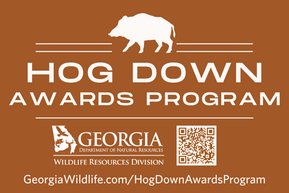 The Hog Down Awards Program Could Bring Rewards Your Way
