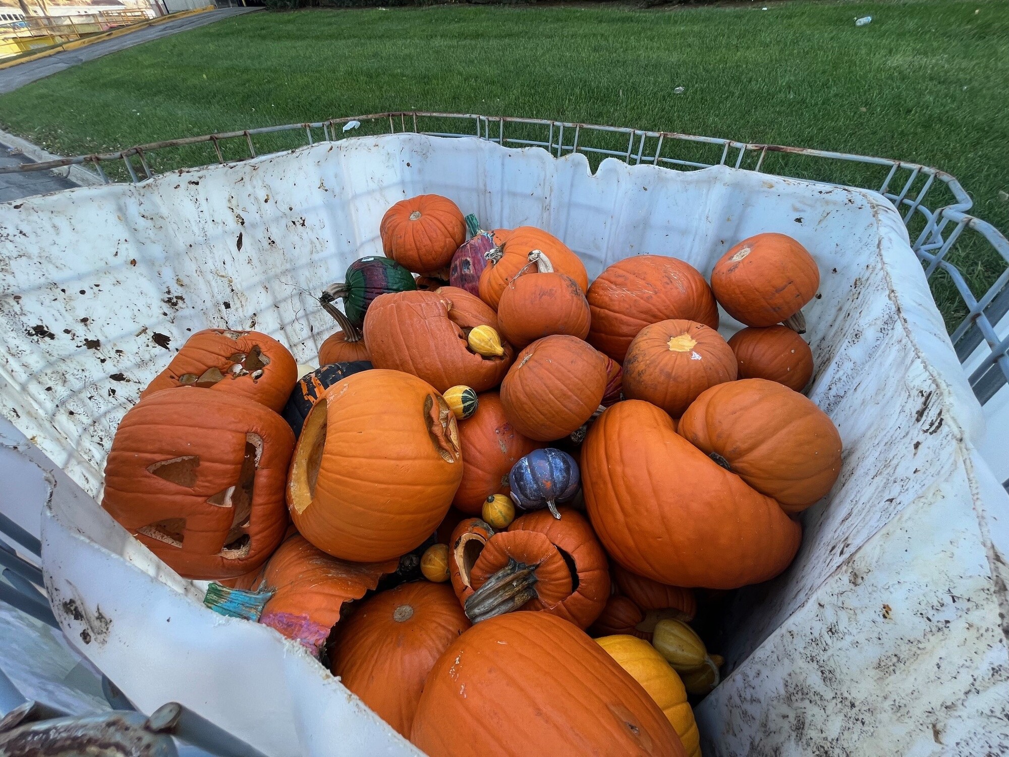 Drop Off Pumpkins at Resource Recovery Plant