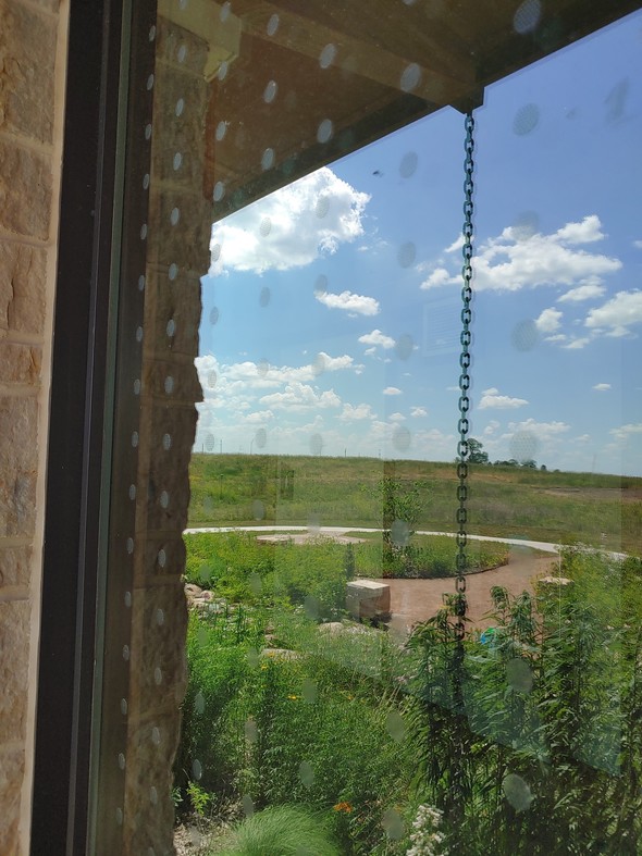 Bird window collisions – a preventable threat to birds