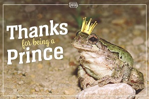 Thank you! Chickadee Check-off Donations Soared in 2020