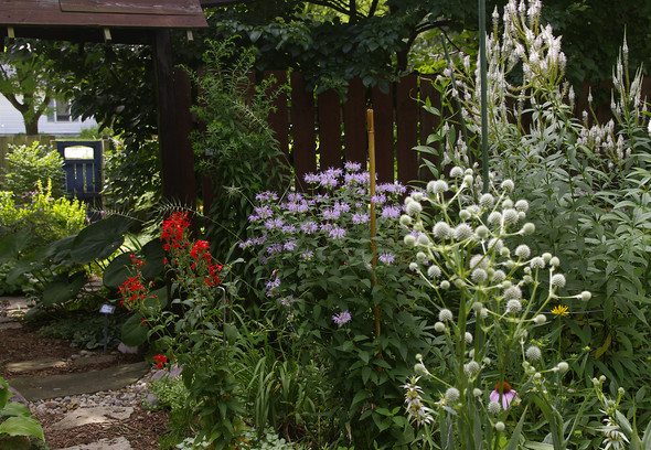 Planting Prairie 101 | Part 3 | Planting a Prairie Garden