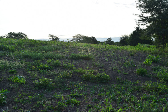 Sept. 13 Iowa Outdoors