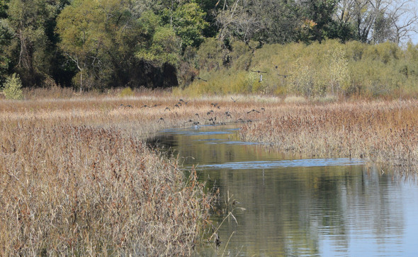 Nov. 1 Iowa Outdoors