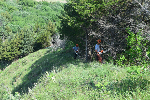 June 6 Iowa Outdoors