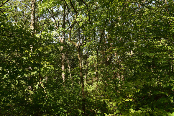 Aug. 22 Iowa Outdoors