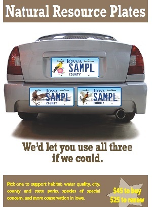 Wildlife Thanksgiving