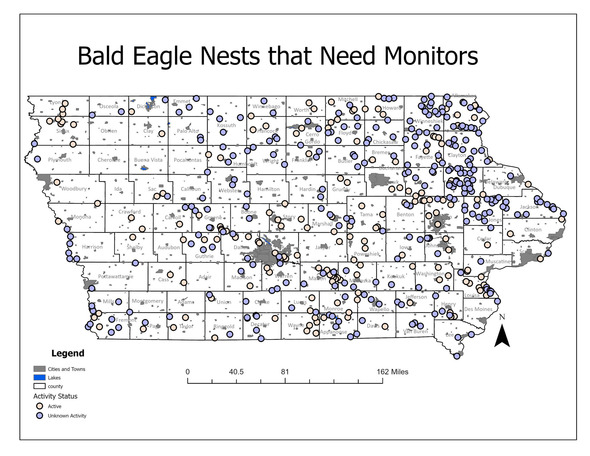 Become a Bald Eagle Nest Monitor in 2024