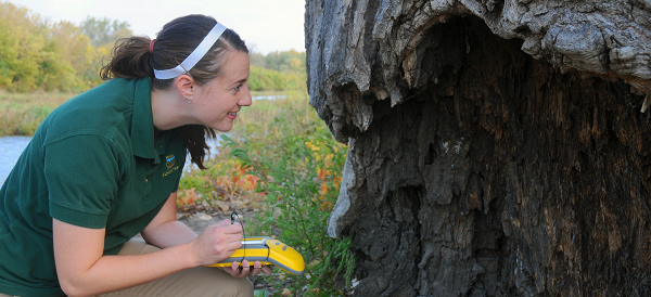 Join Our Team: Current DNR Employment Opportunities
