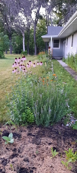 Wildlife Where You Live | Creating a Pollinator Oasis to Celebrate ...