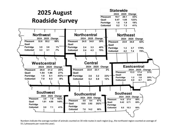 Annual pheasant survey shows Iowa’s population at 20 year high