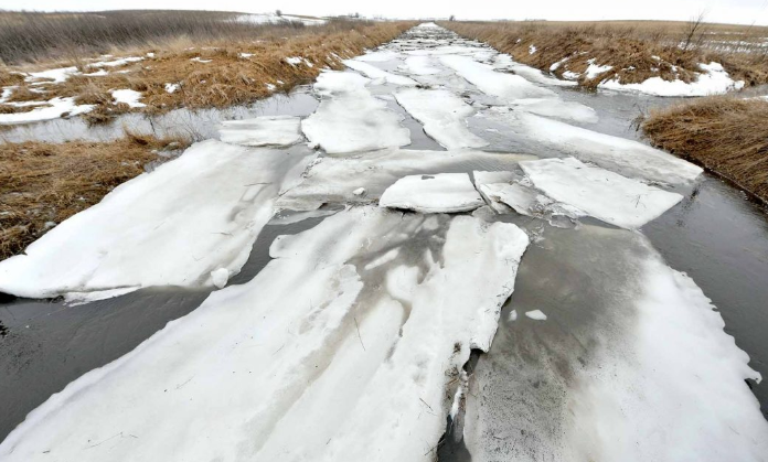 Winter Quarterly NFIP Newsletter 2025