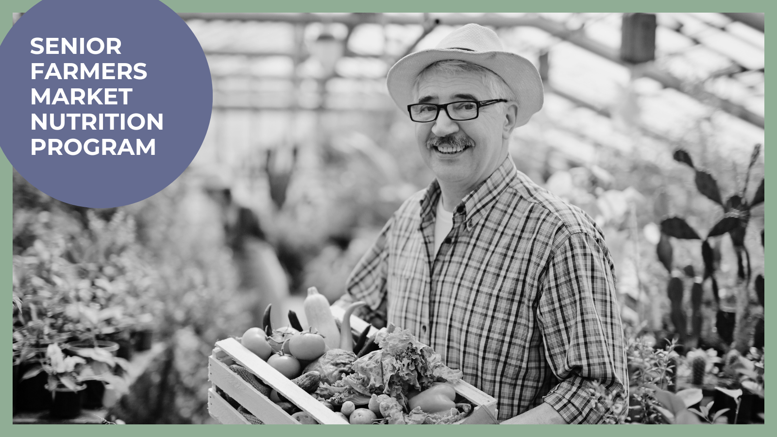 Monthly Health Promotion Message: Senior Farmers Market Nutrition Program