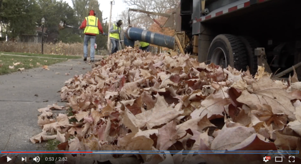 Leaf vacuum program to begin in October