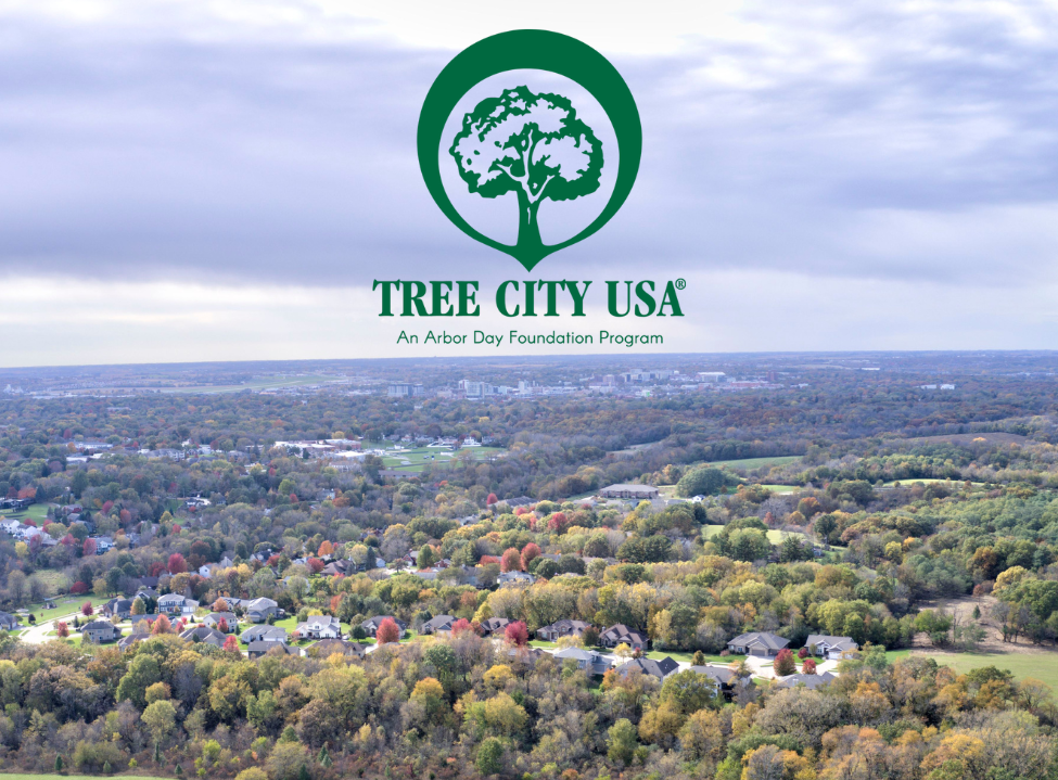 Iowa City named Tree City USA once again