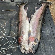 New state record and more fishing news!