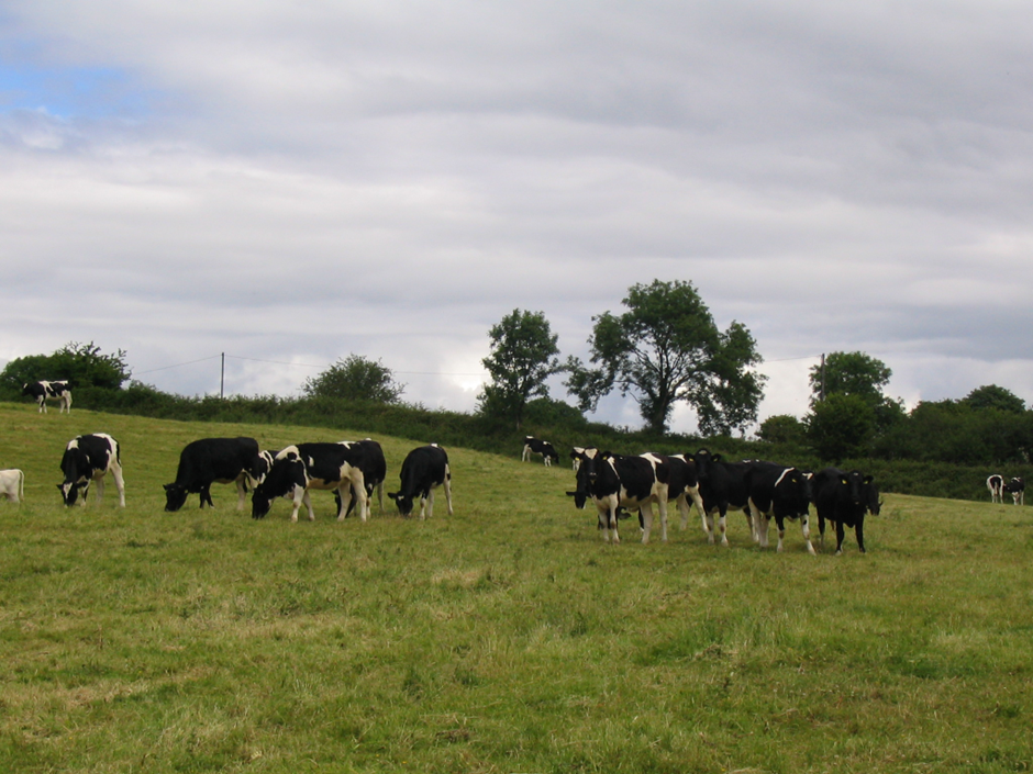 Catch up on all the news from the Environment Department