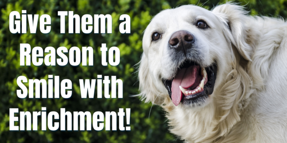 Richie may be Rich, but is he ENriched? DCAS breaks down enrichment for ...