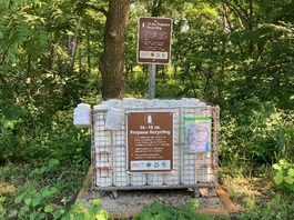 Celebrate Smart: Tree‑TLC, Propane Recycling & More This July