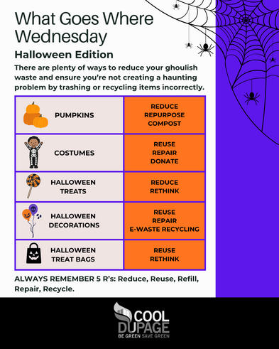 Sustainability in Motion - Cool DuPage November E-Newsletter