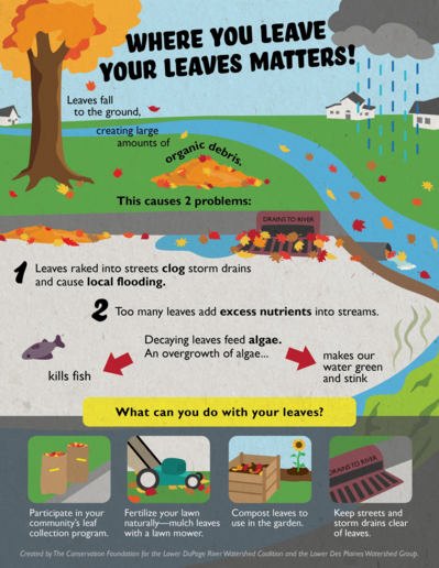 Sustainability in Motion - Cool DuPage November E-Newsletter