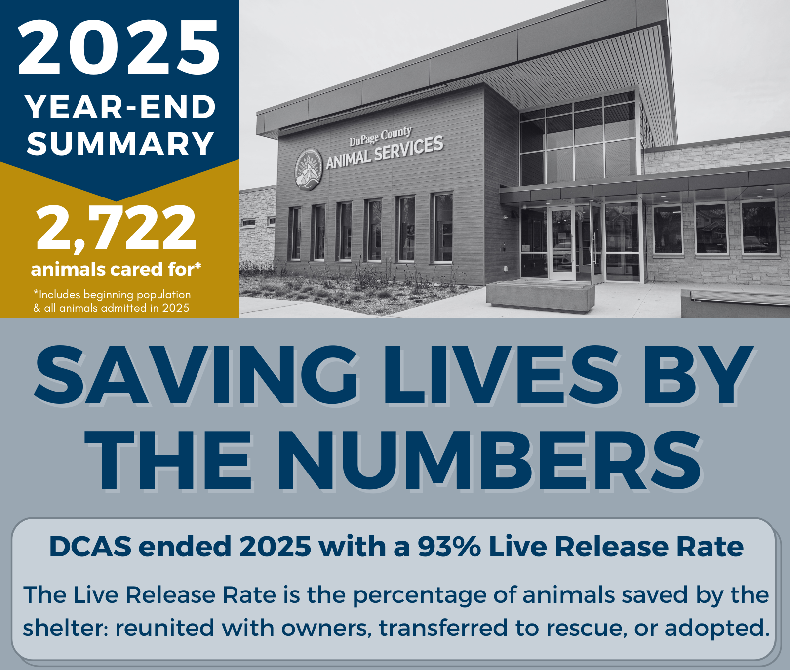 DCAS 2025 Stats Are In - Saving Animals, Serving People