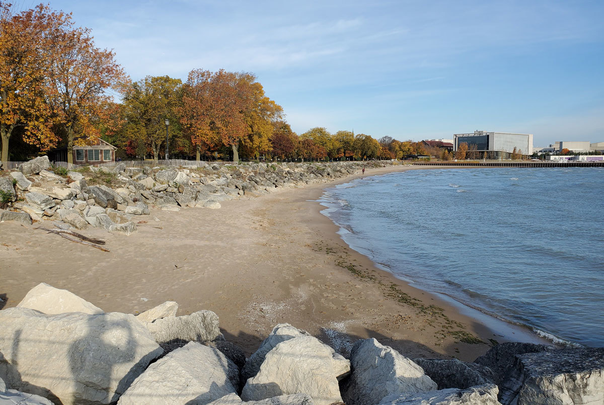 e-News: la apertura de Evanston Dog Beach