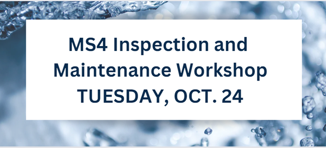 Mainstream Newsletter - October 2023