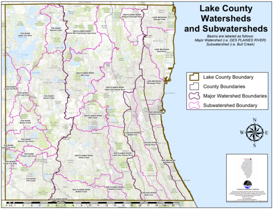 Mainstream Newsletter - February 2024
