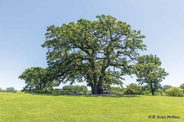 Addressing regional housing challenges, Household chemical waste ...
