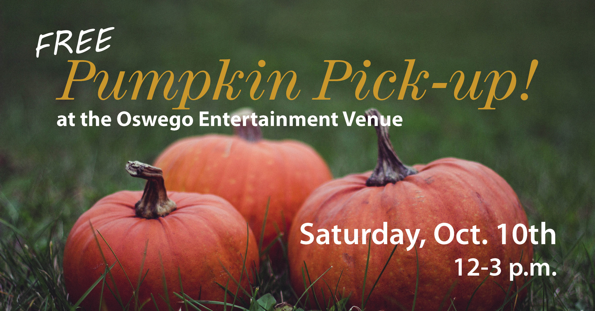 Pick up your FREE pumpkin this Saturday!